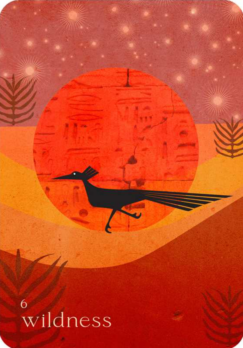 •WILD WHISPERS• oracle deck